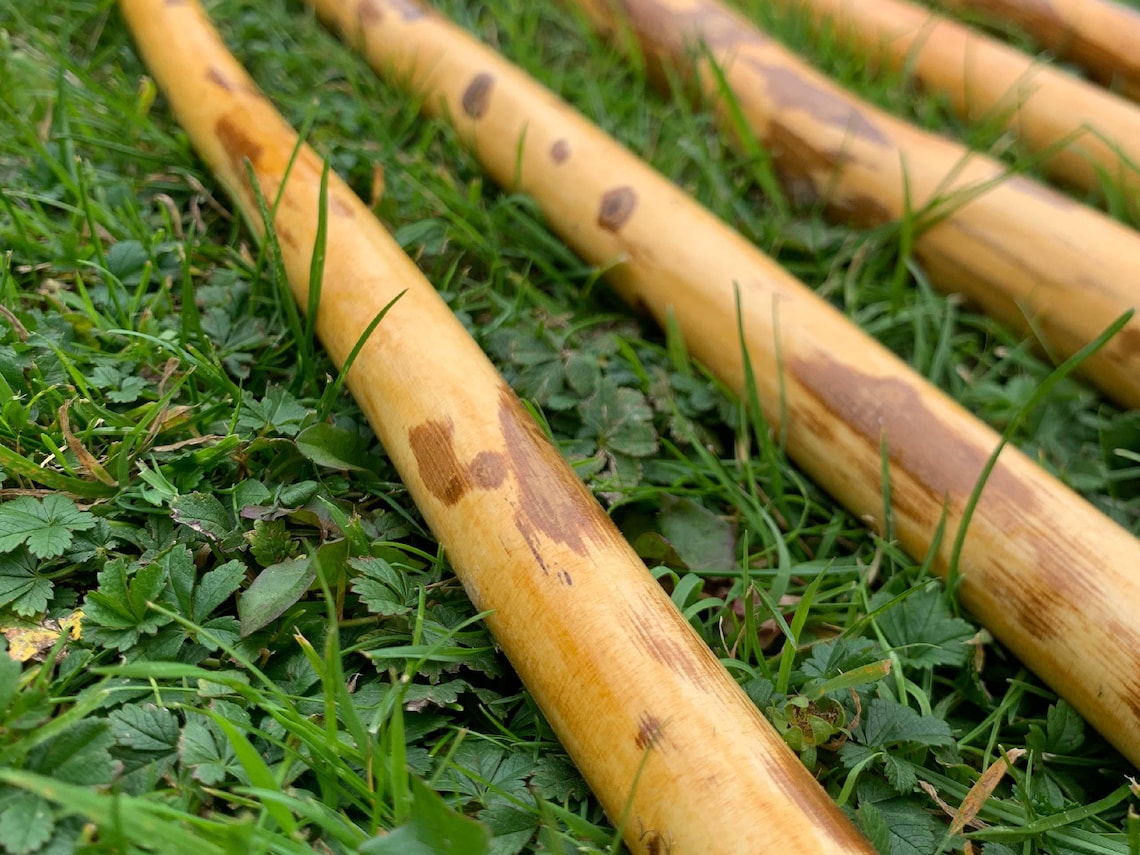 Irish Hazel Walking Stick | 37 Inches | Wood Hiking Cane | Natural ...