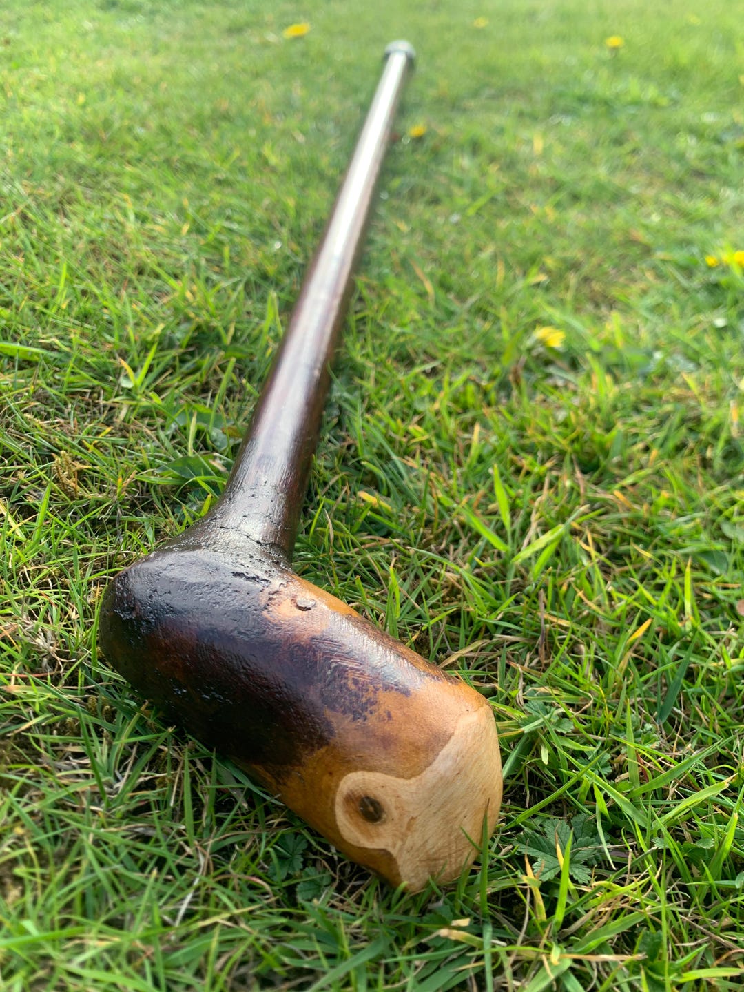 Irish Blackthorn Walking Stick | Cane Irish | Wood Hiking Cane ...