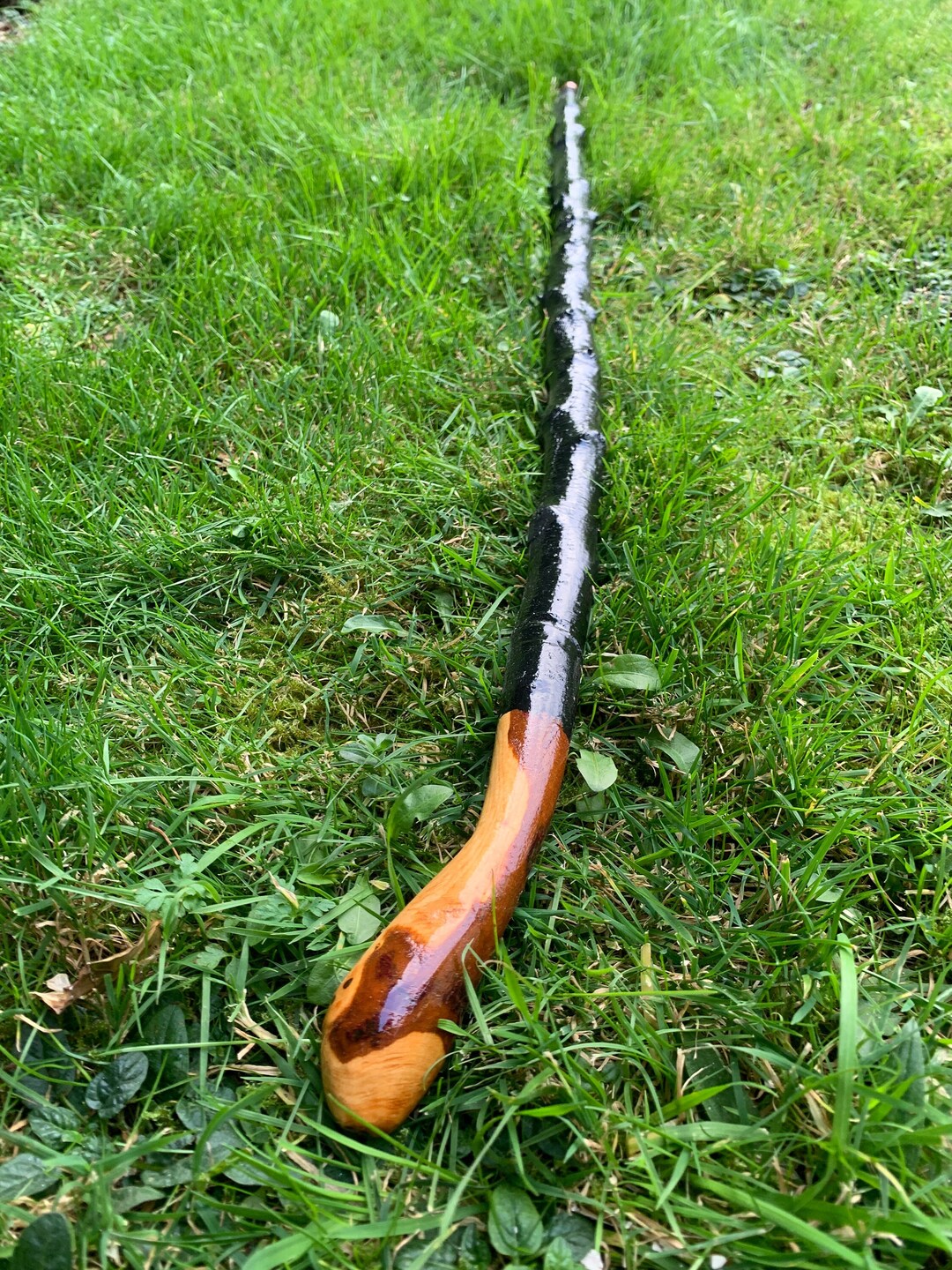 Blackthorn Walking Stick 36 Inches Irish Cane - Etsy