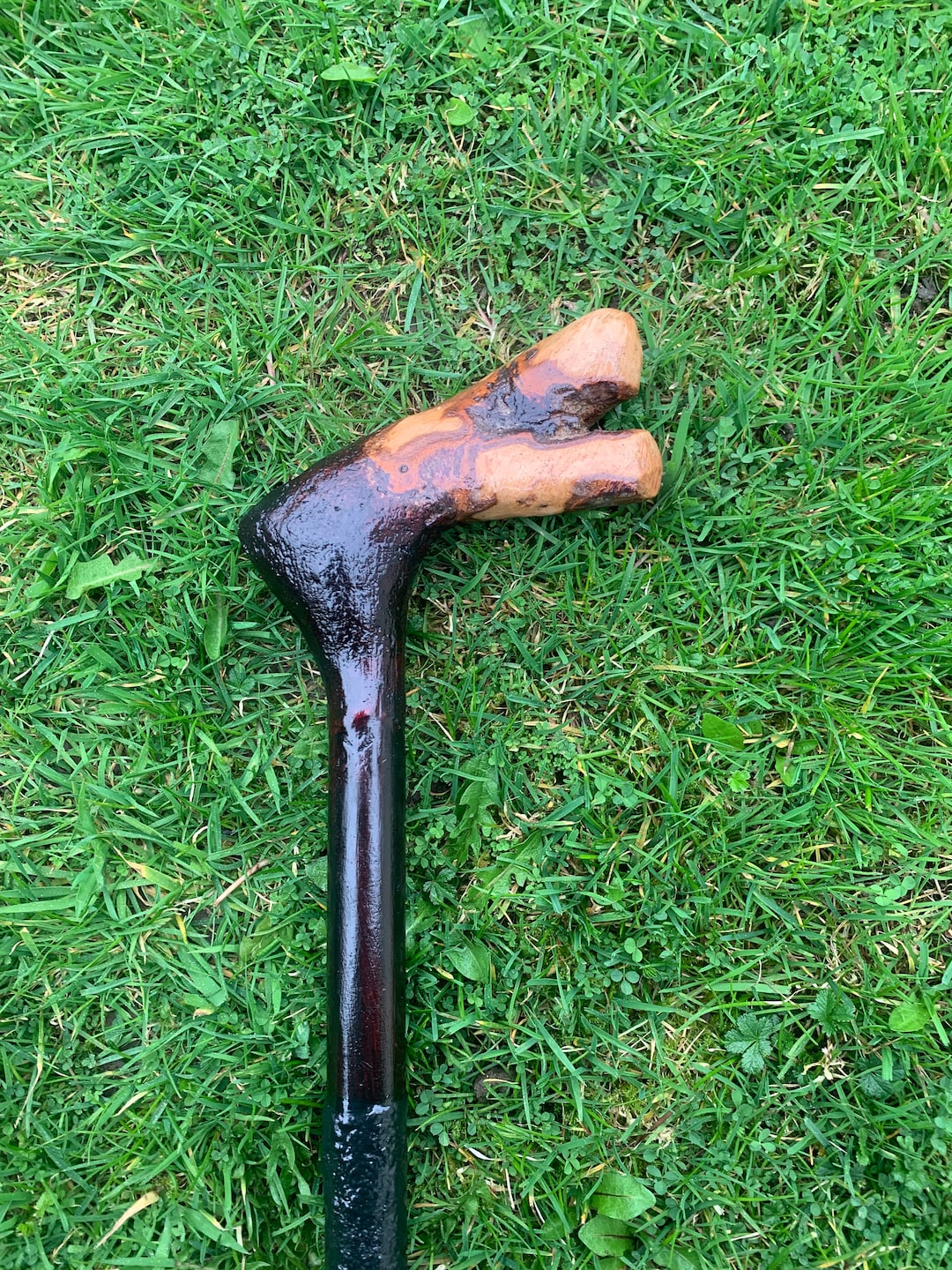 Irish Blackthorn Walking Stick Cane Irish Wood Hiking Cane Natural ...