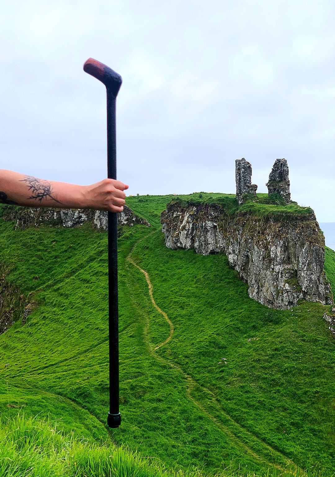Irish Blackthorn Walking Stick Cane Irish Wood Hiking Cane Natural ...