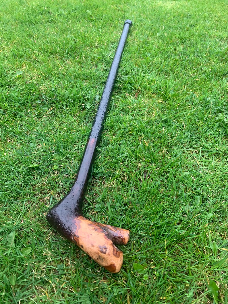 Irish Blackthorn Walking Stick Cane Irish Wood Hiking Cane Natural ...