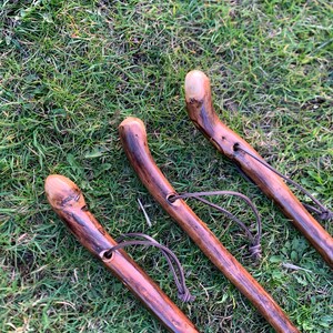 Chestnut Walking Stick | Cane | Wood Hiking Cane | Natural Handmade ...