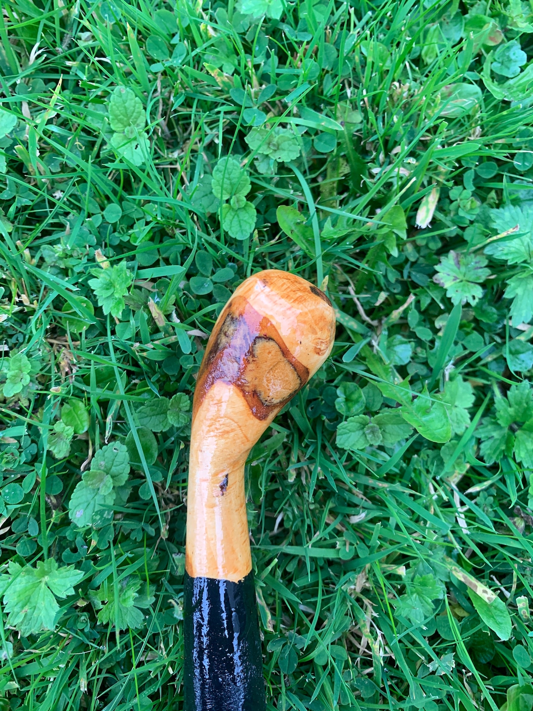 Blackthorn Walking Stick 36 1/2 Inches Irish Cane - Etsy