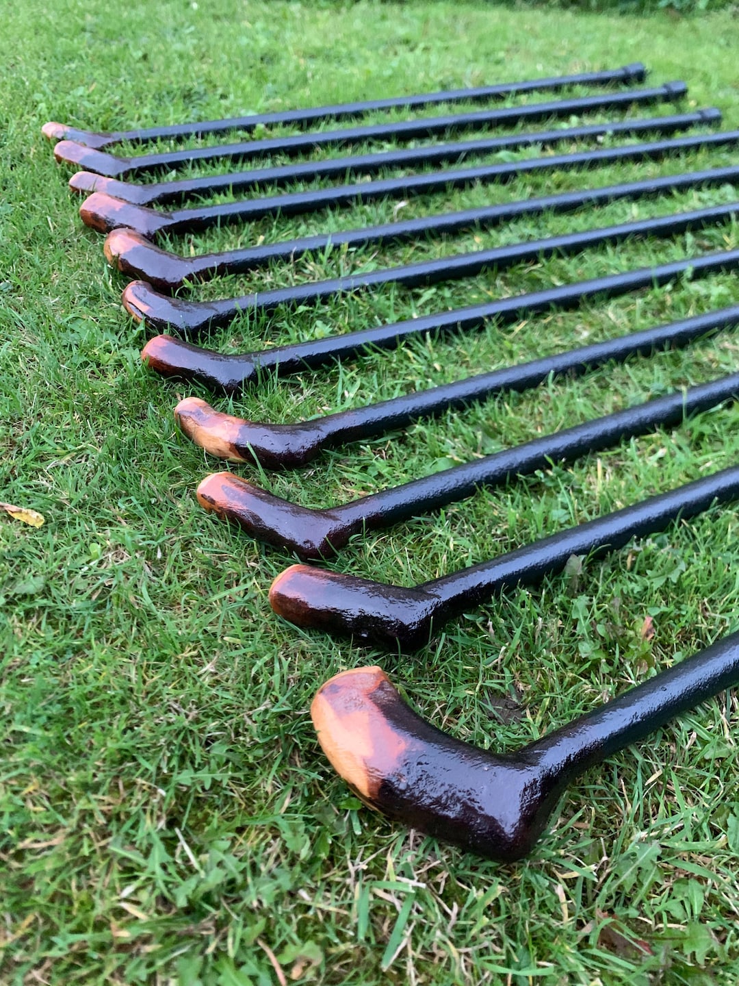 Irish Blackthorn Walking Stick | Cane Irish | Wood Hiking Cane ...