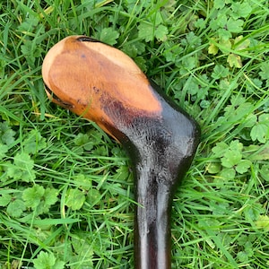 Irish Blackthorn Walking Stick | Cane Irish | Wood Hiking Cane ...