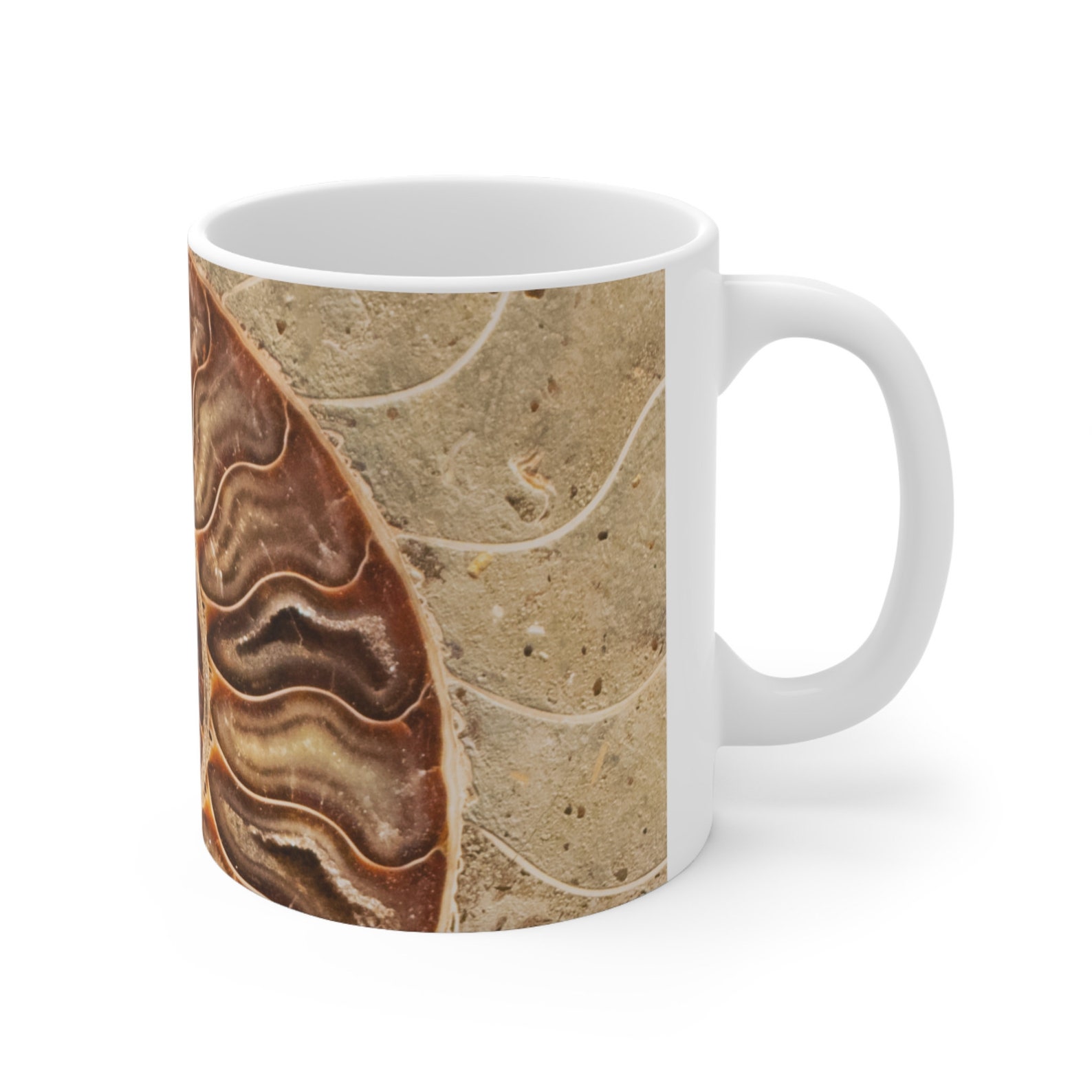 Ammonite Fossil Mug - Fossils - Fossil Hunting - Geology - Minerals ...