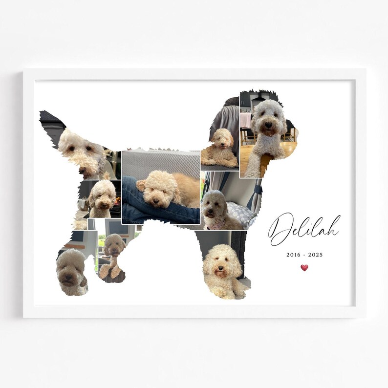Impresión de collage de fotos conmemorativo de Cockapoo • Regalo por la ...