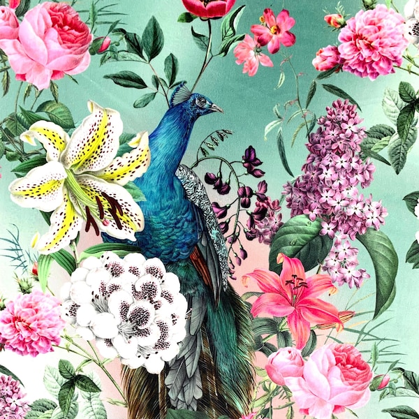 Peacock Print Fabric - Etsy