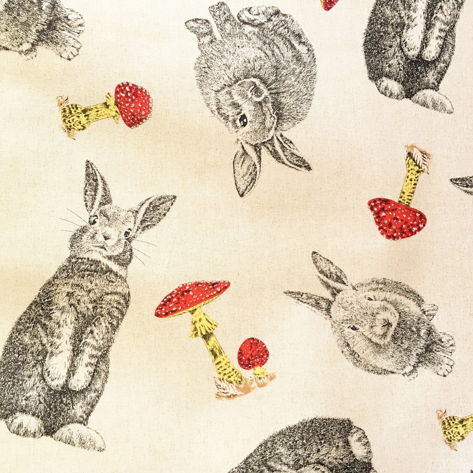 Rabbit Fabric, Rabbits & Toadstools, Bunny Fabric, Country Fabric ...