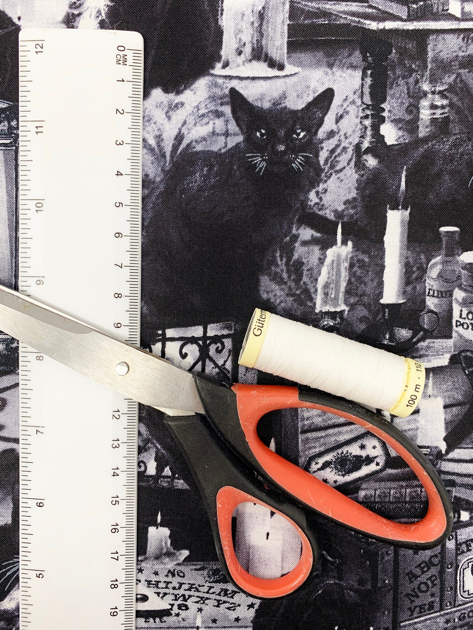 Cat Fabric Black Magic Cats Gothic Cotton Novelty Material - Etsy UK