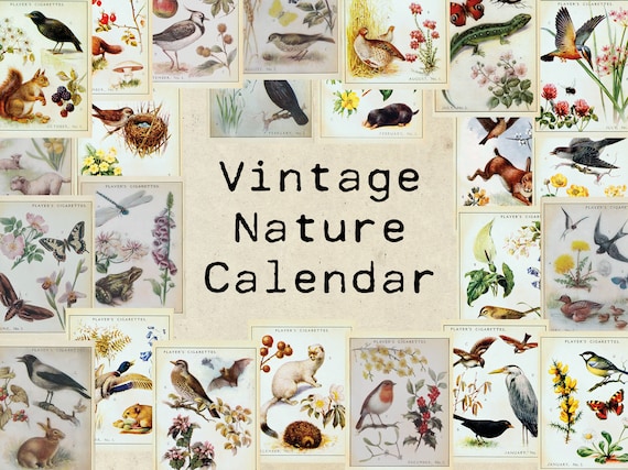 Digital Vintage Nature Calendar Illustrations Collage Sheet | Etsy