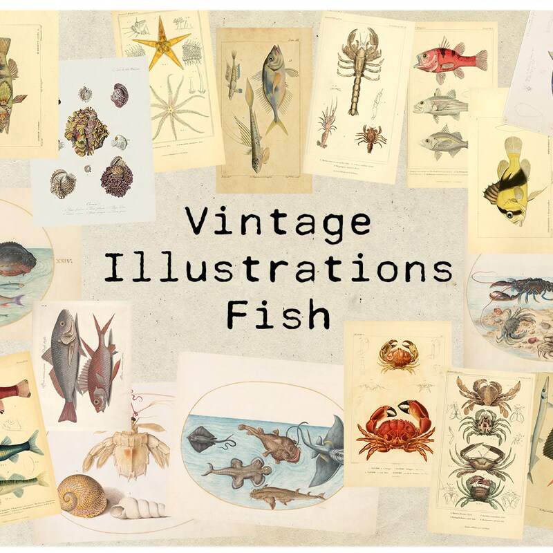 Vintage Fish - Etsy