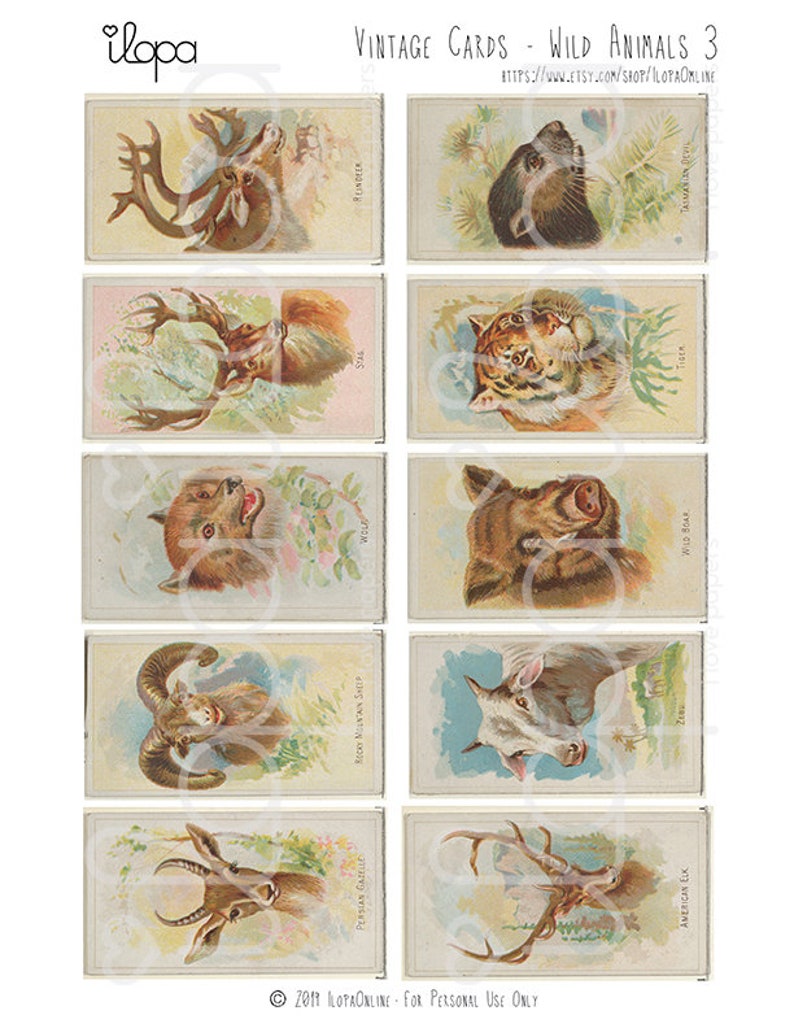 Digital Vintage Wild Animal Ephemera Collage Sheet - Etsy Ireland