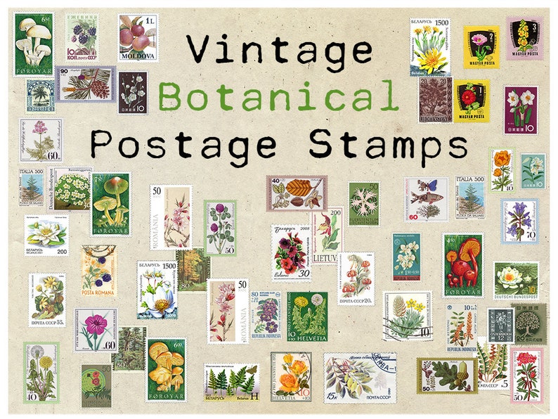 Digital Postage Stamps - Vintage Botanicals - Etsy