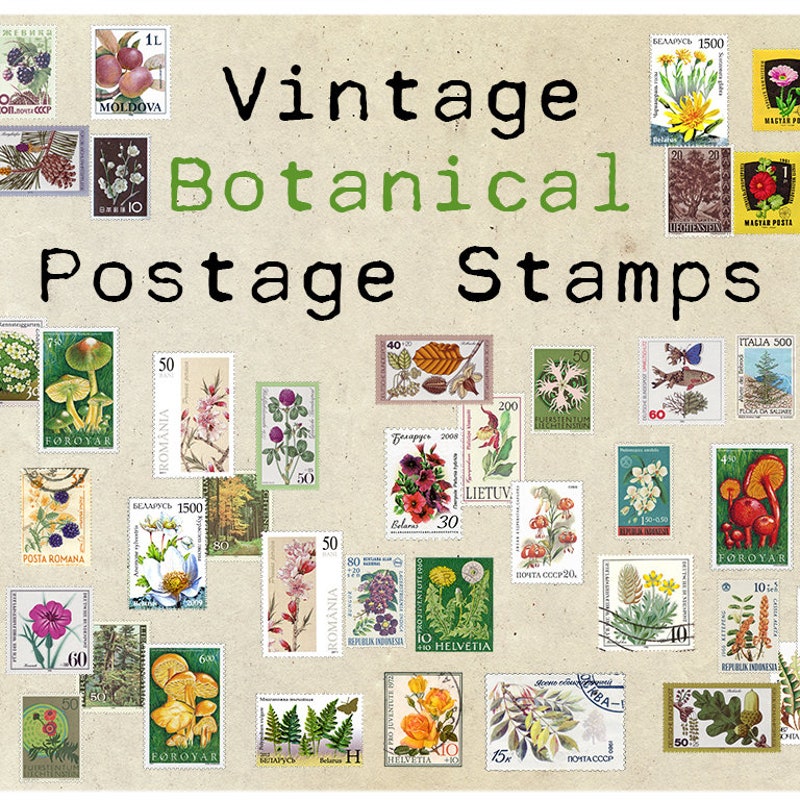Botanical Stamp - Etsy