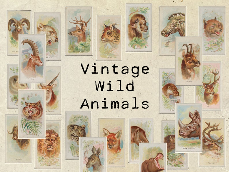 Digital Vintage Wild Animal Ephemera Collage Sheet - Etsy Ireland