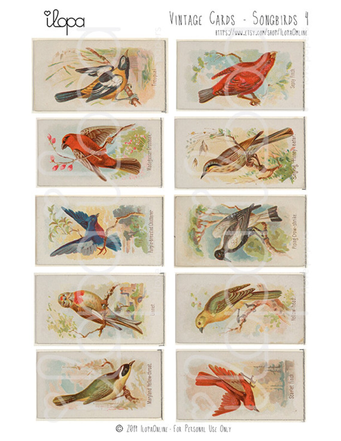 Digital Vintage Songbird Ephemera Collage Sheet | Etsy