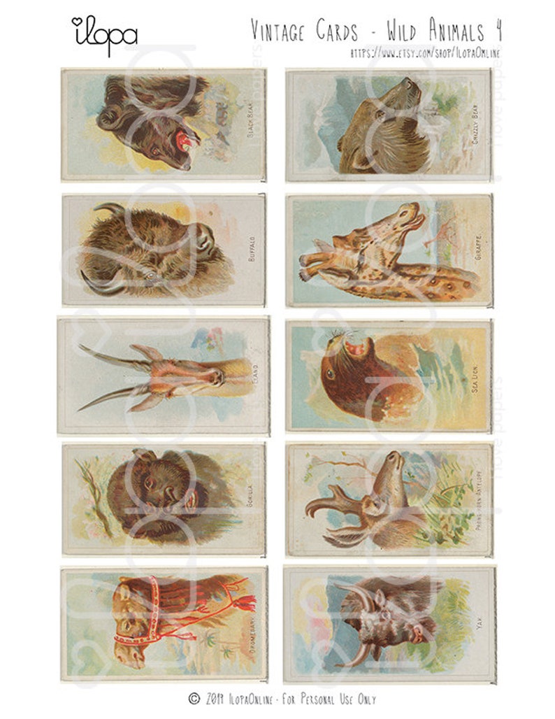 Digital Vintage Wild Animal Ephemera Collage Sheet - Etsy Ireland