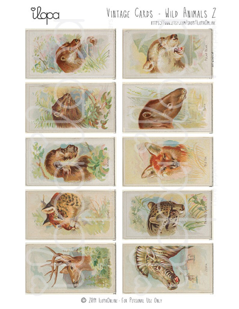 Digital Vintage Wild Animal Ephemera Collage Sheet - Etsy Ireland