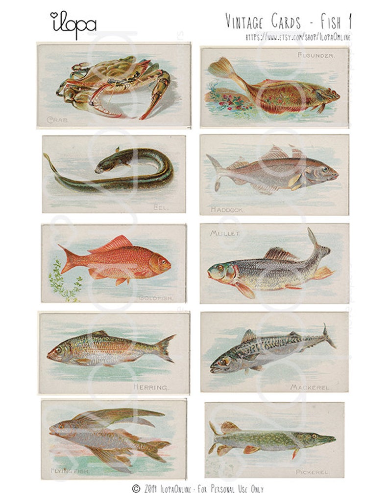 Digital Vintage Fish Ephemera Collage Sheet - Etsy