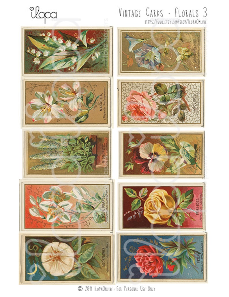 Digital Vintage Flower Ephemera Collage Sheet | Etsy