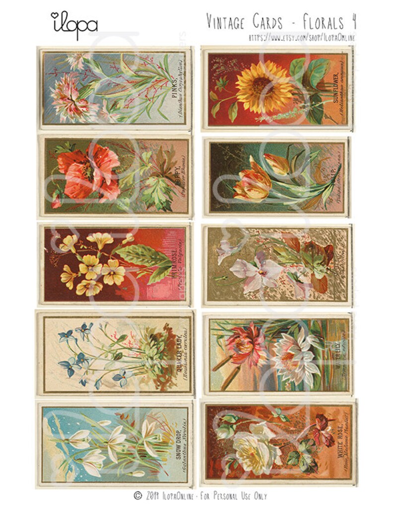 Digital Vintage Flower Ephemera Collage Sheet - Etsy