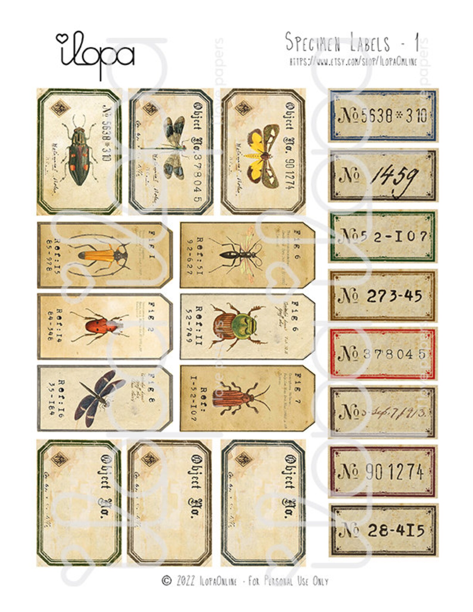 Digital Vintage Style Specimen Labels - Etsy