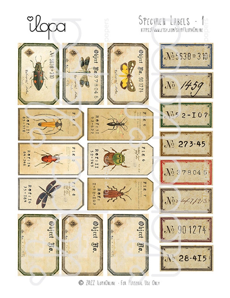Digital Vintage Style Specimen Labels - Etsy