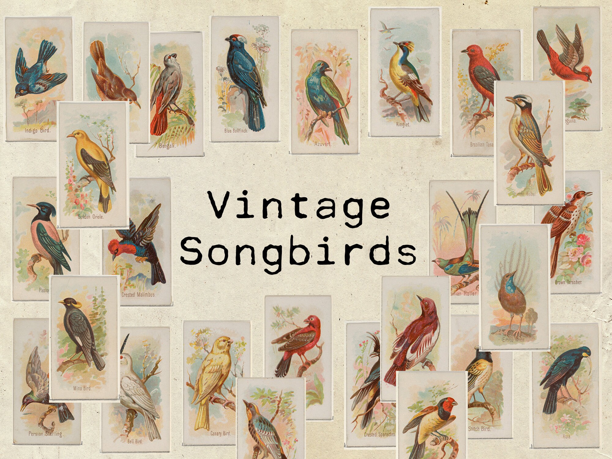 Digital Vintage Songbird Ephemera Collage Sheet | Etsy