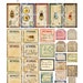 Digital Vintage Style Specimen Labels - Etsy