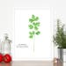 Cilantro Watercolor Painting, Kitchen Wall Art, Fine Art Print, Wall ...