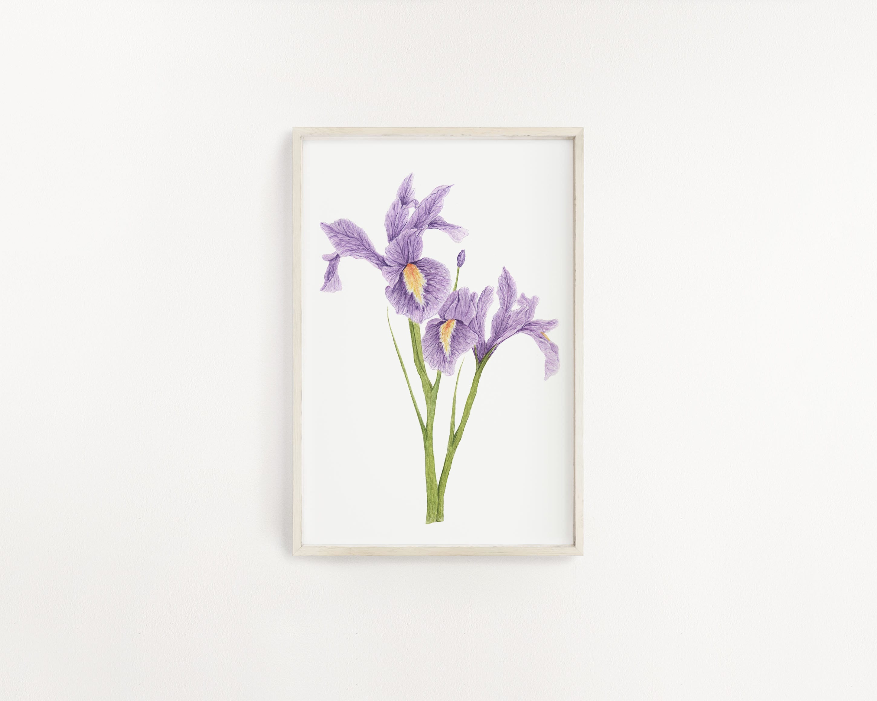 Iris Print Watercolor Irises Painting Iris Art Floral Art - Etsy