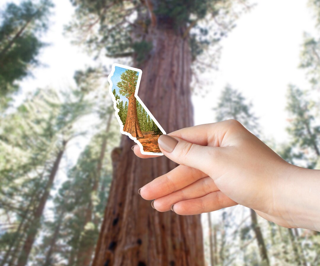 California Decal, Sequoia National Park Sticker, General Sherman ...