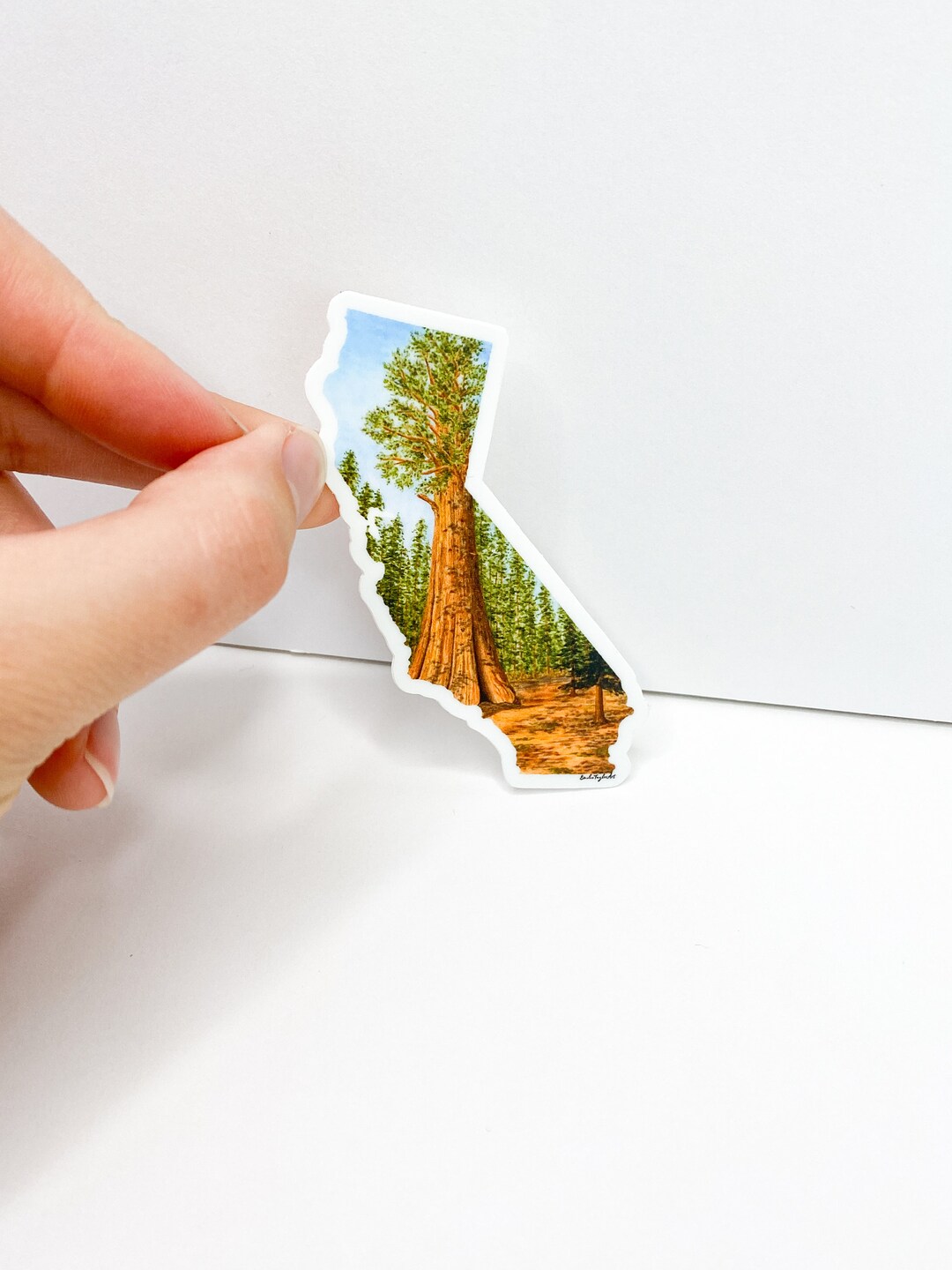 California Decal, Sequoia National Park Sticker, General Sherman ...
