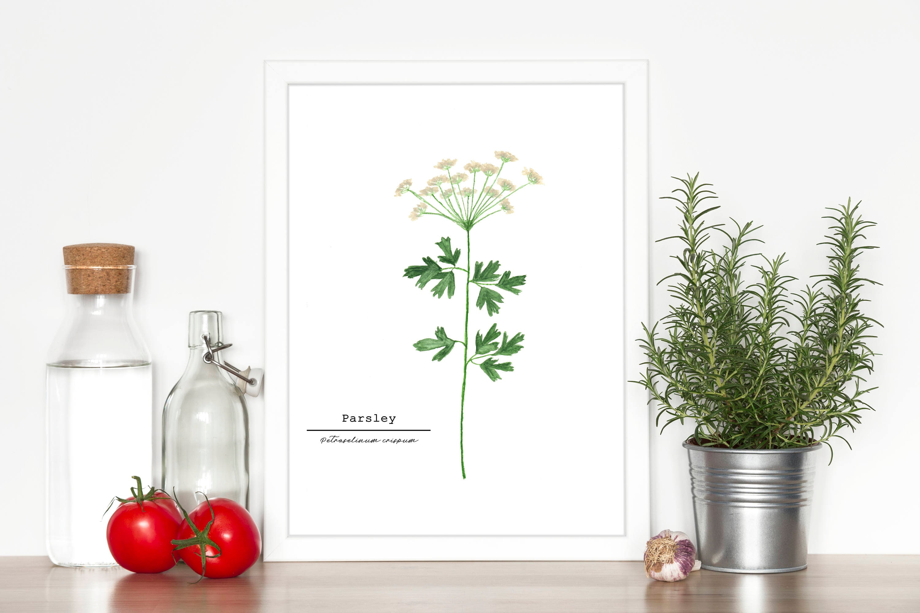 Parsley Watercolor Painting, Kitchen Art, Fine Art Print, Wall Art ...