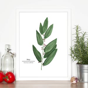 Bay Watercolor Painting, Botanical Art, Kitchen Art, Wall Art, Home ...