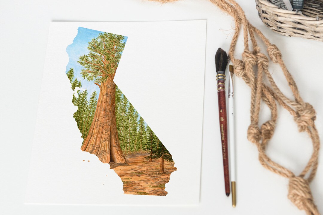 California Sequoia National Park, Watercolor California, General ...