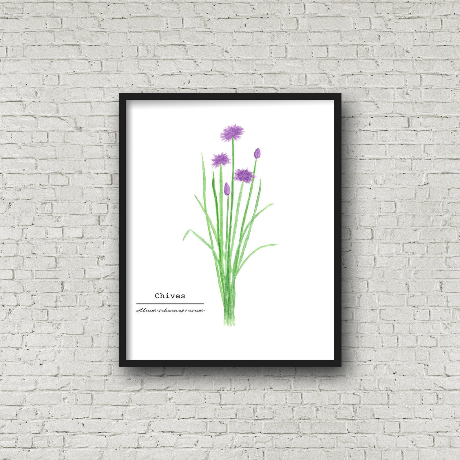 Chives Watercolor Painting Kitchen Wall Art Fine Art Print - Etsy