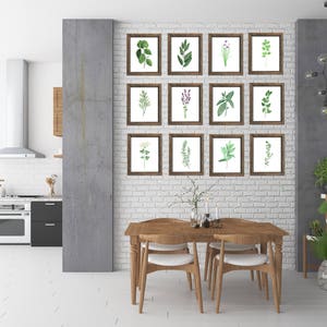 Cilantro Watercolor Painting, Kitchen Wall Art, Fine Art Print, Wall ...