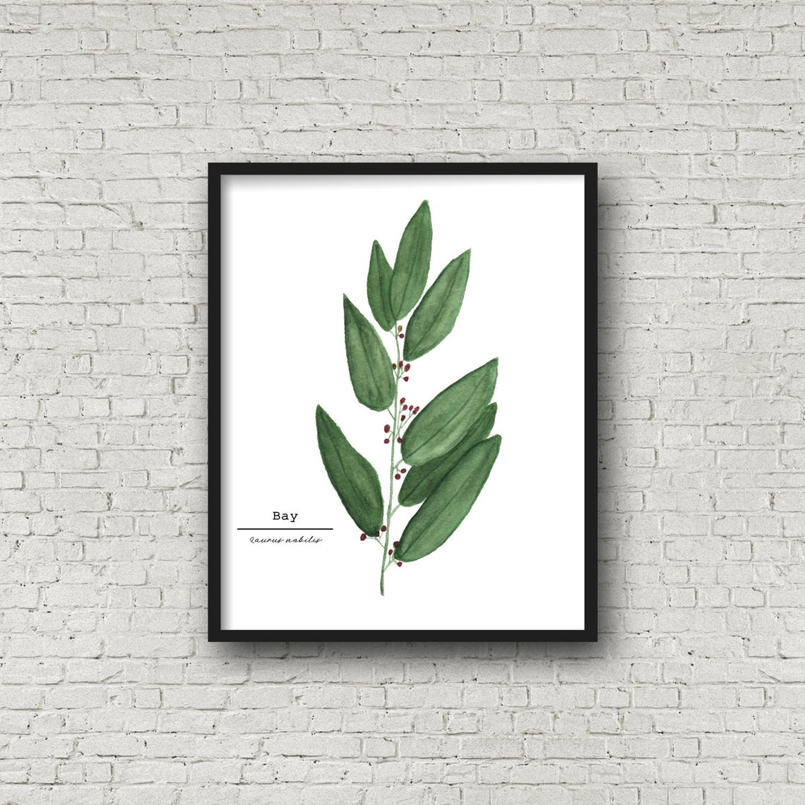 Bay Watercolor Painting Botanical Art Kitchen Art Wall Art | Etsy