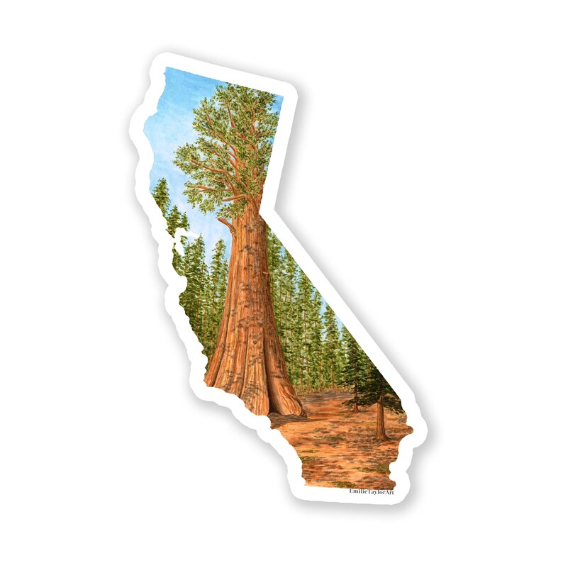 California Decal, Sequoia National Park Sticker, General Sherman ...