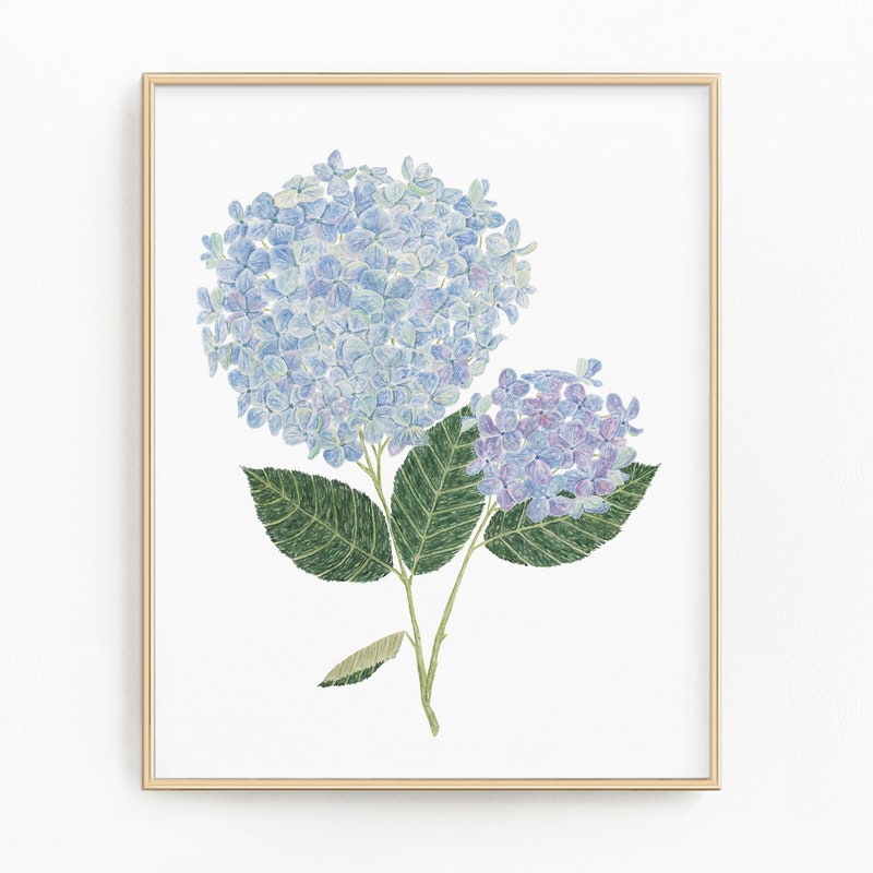 Hydrangea Print - Etsy