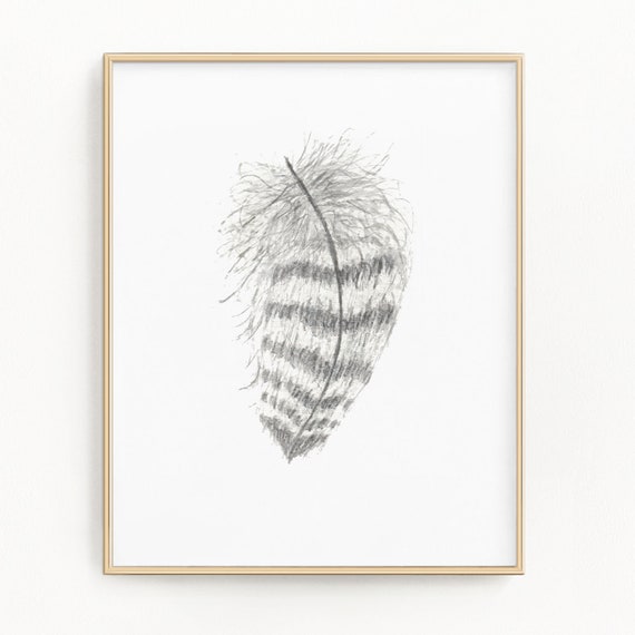 Boho Feather Drawing