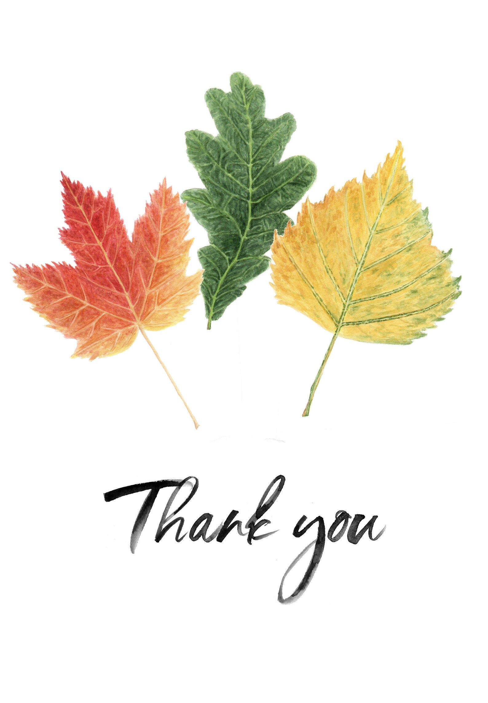 Watercolor Greeting Card, Thank You Card, Fall Leaves Card, Fall ...