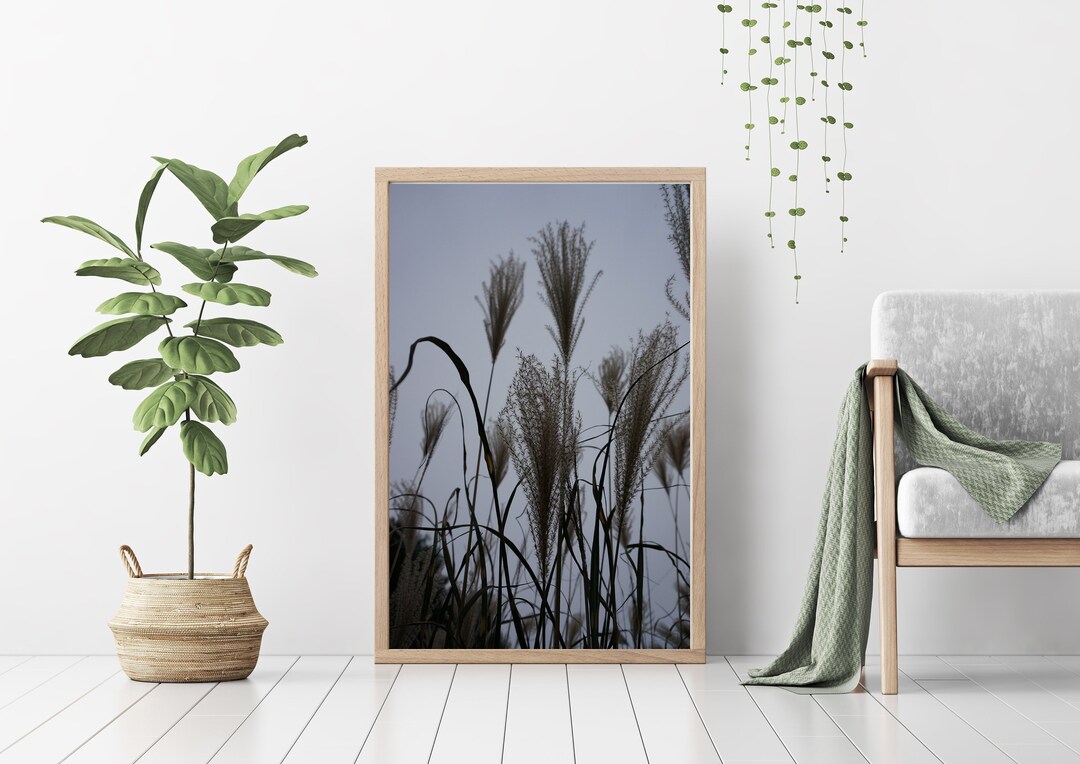 Reeds and Shadows NO1 Printable Nature Photographic Print/reeds Print ...