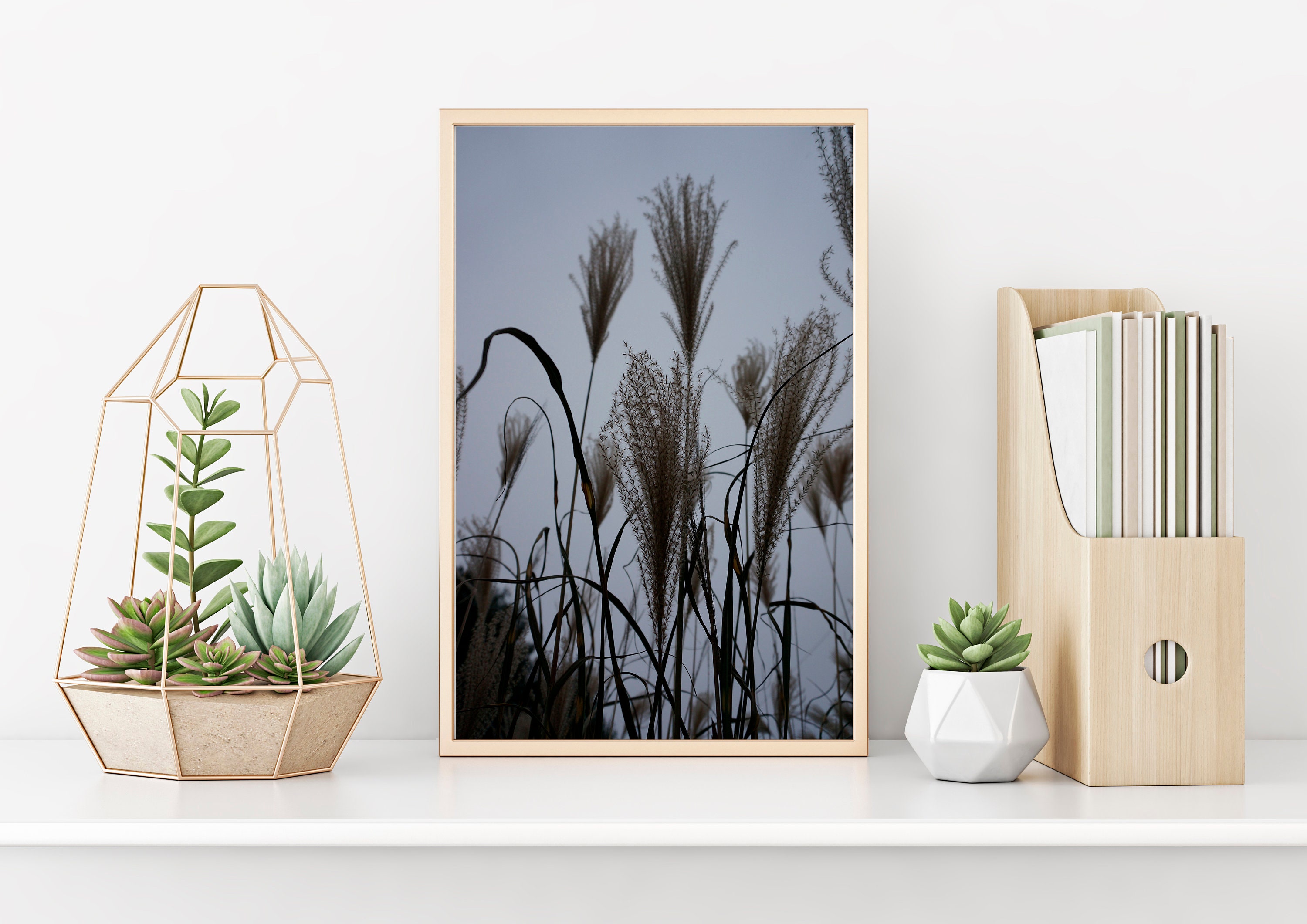 Reeds and Shadows NO1 Printable Nature Photographic Print/reeds Print ...