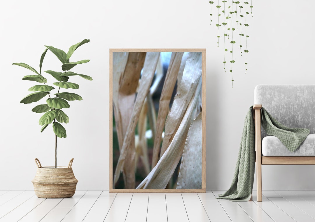 Dried Corn Leaves Printable Nature Photographic Print/leaves Print ...