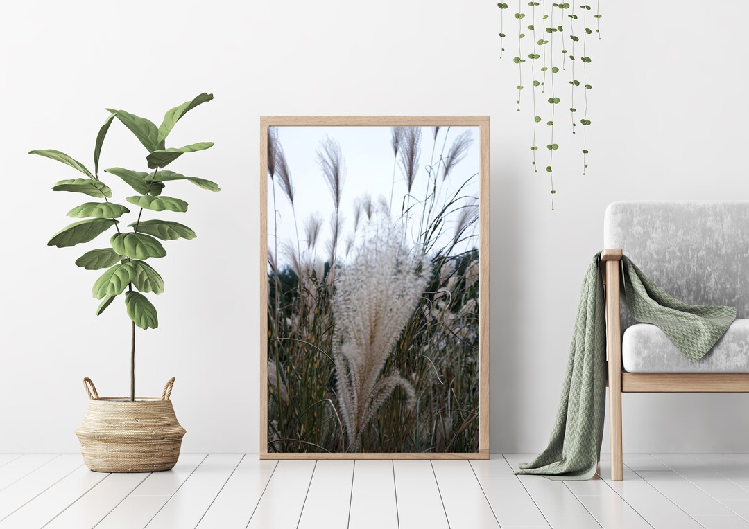 Field of Reeds Printable Nature Photographic Print/reeds Print/nature ...