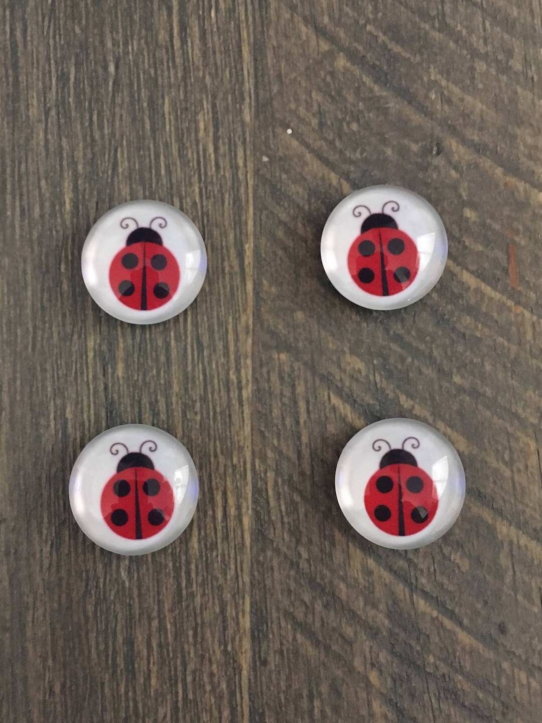 Lady Bug Magnets - Etsy